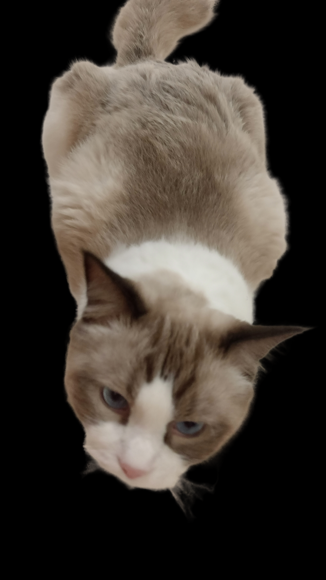 氢燃料电池 暗流科技官网 - ALKJ